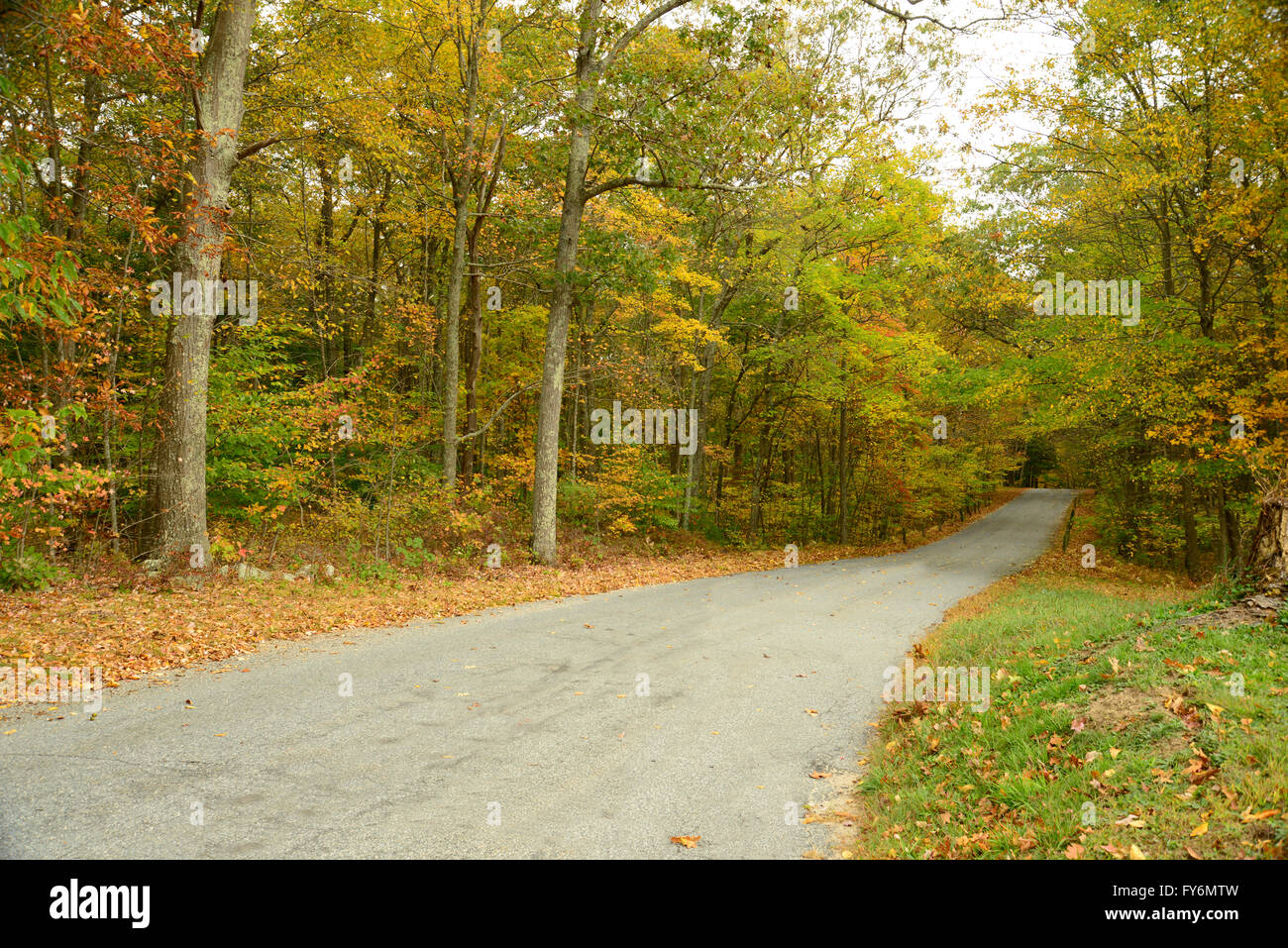 Country rural hi-res stock photography and images - Alamy