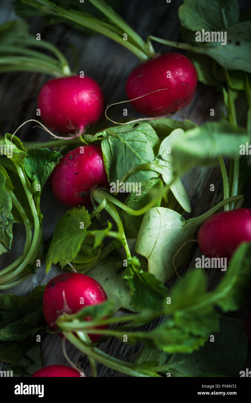 Farm fresh whole bunch of raddish on rustic wooden board Stock Photo ...