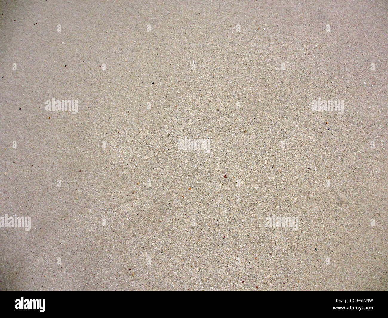 Grains of Beach Sand Kailua and shells Stock Photo - Alamy