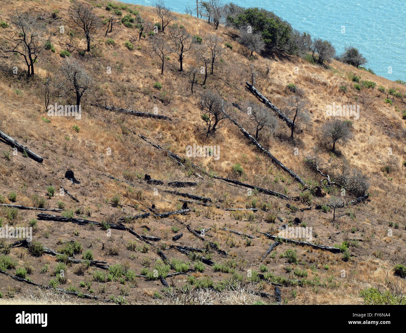 Hillside erosion control hi-res stock photography and images - Alamy
