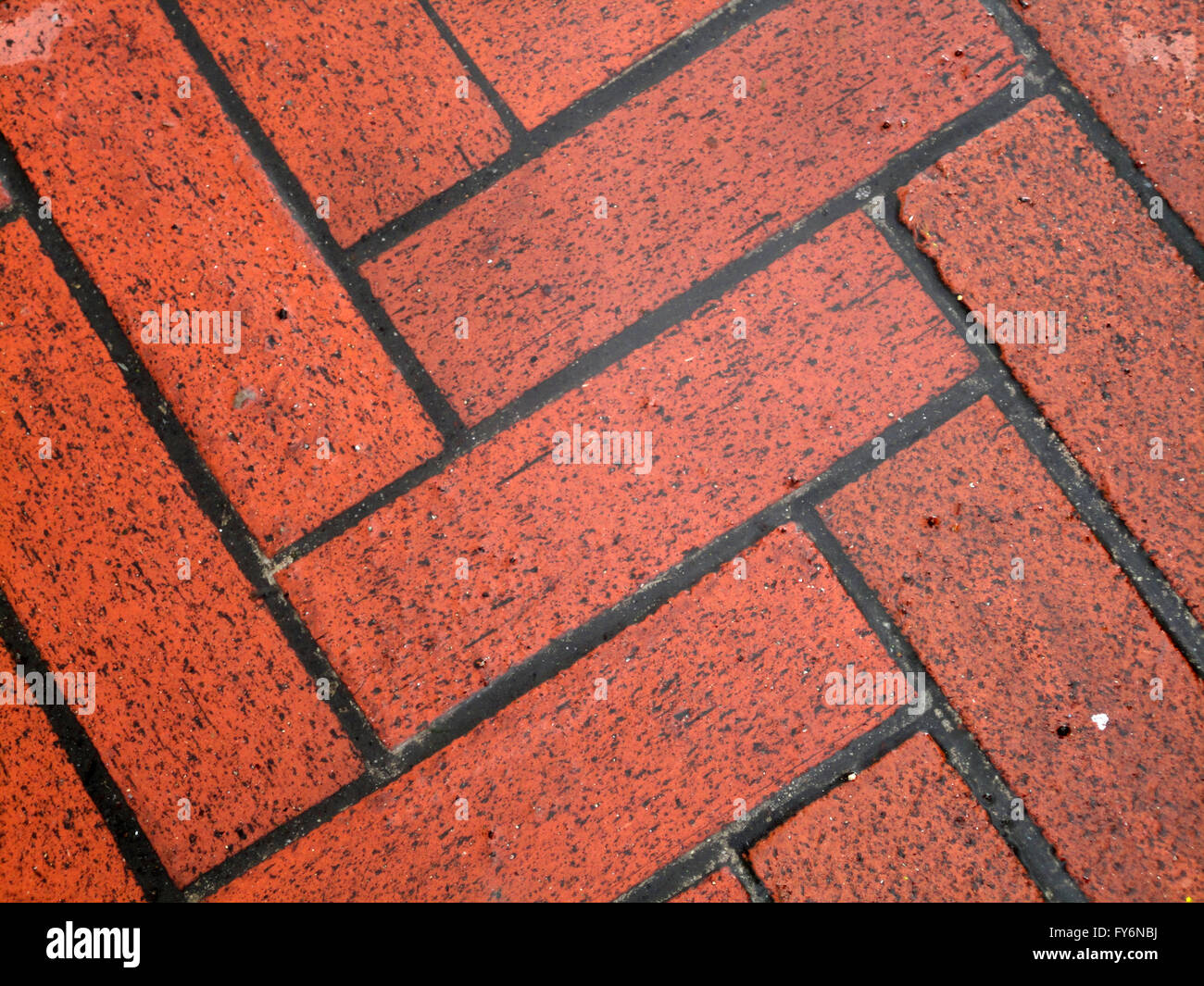 Bone texture hi-res stock photography and images - Alamy