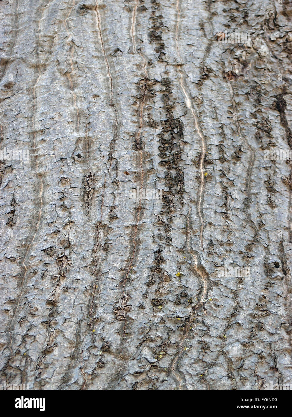 Crackly texture hi-res stock photography and images - Alamy