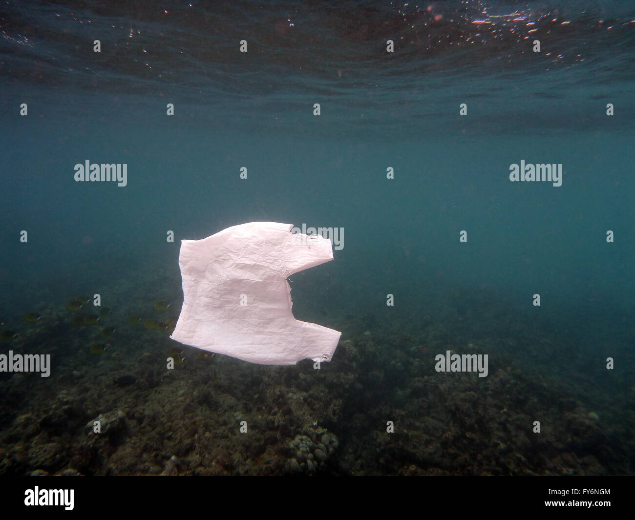 Hawaii water pollution hi-res stock photography and images - Alamy