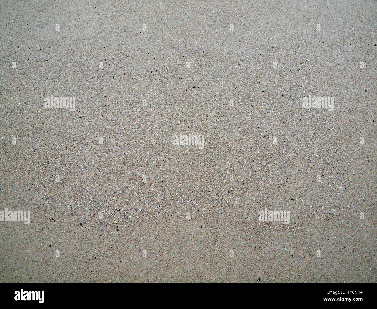 Grains of Waimanalo Beach Sand and shells. On Oahu, Hawaii Stock Photo ...