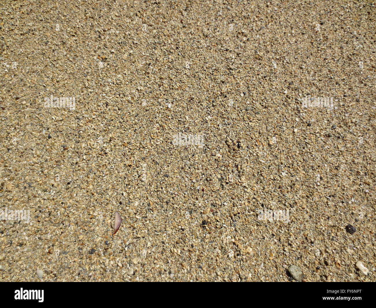 Grains of Kahala Beach Sand, shells, rocks on Oahu, Hawaii Stock Photo ...