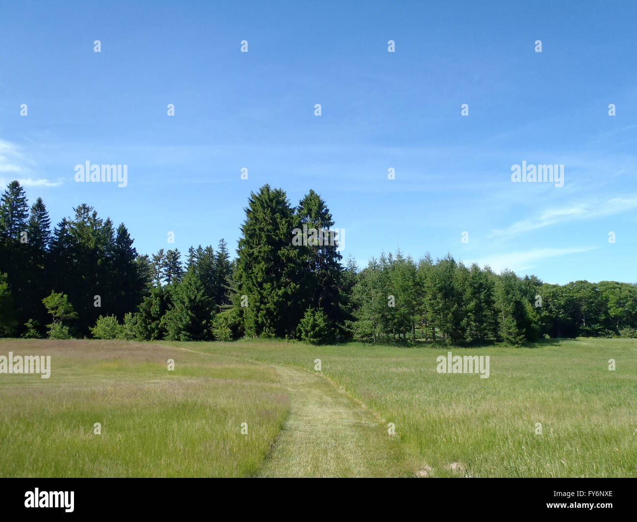 Large path hi-res stock photography and images - Alamy