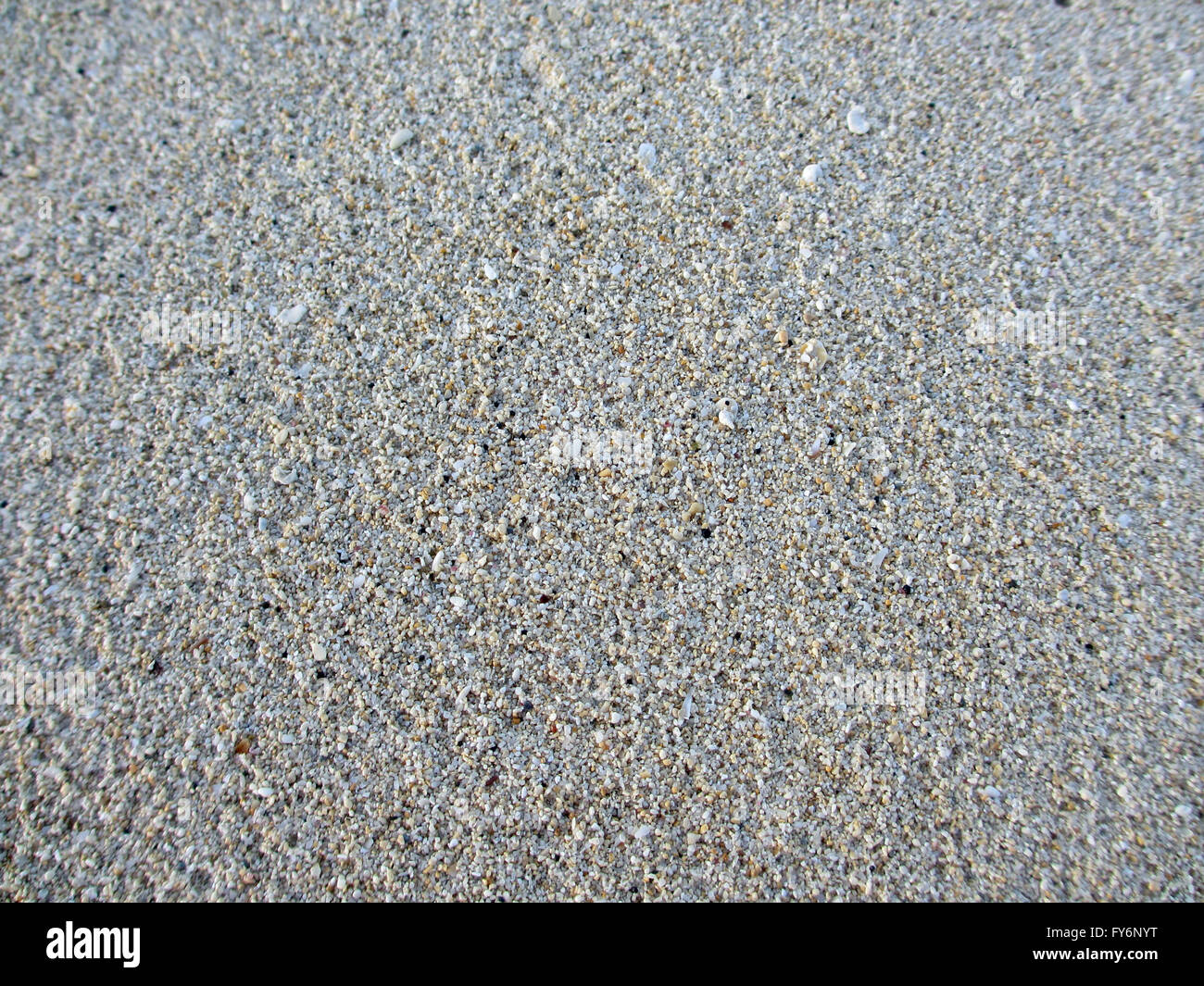 Grain of sand hi-res stock photography and images - Alamy