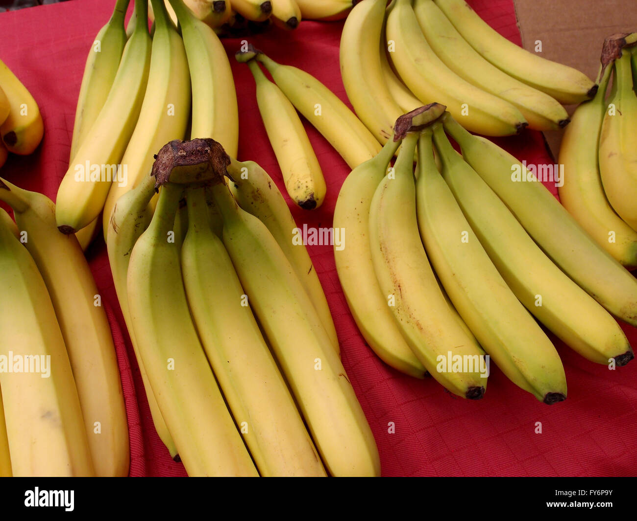 Yellow Ripe Bananas for sale at Farmers Market in Honolulu, Hawaii ...