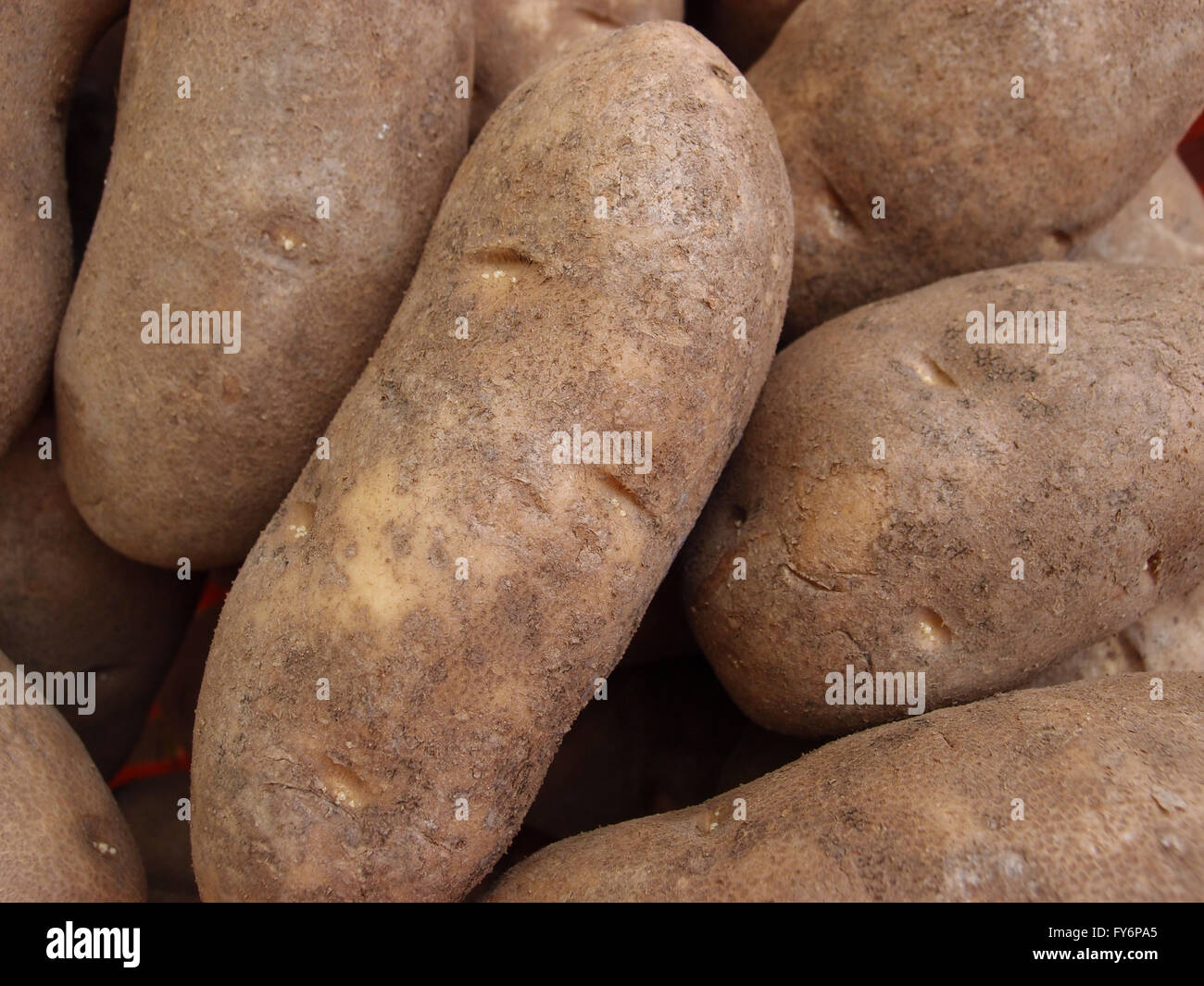 Russel Potatoes on display at Farmers Market in Honolulu Stock Photo ...