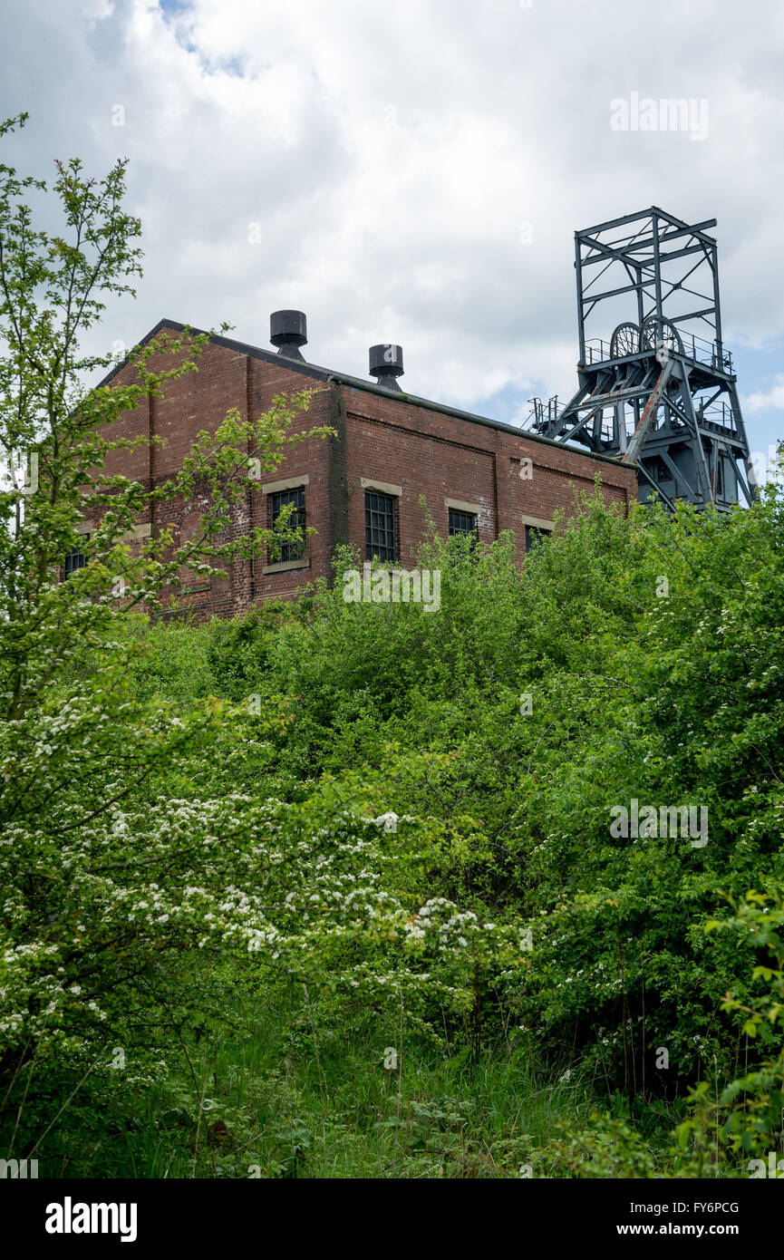 Collier field house hi-res stock photography and images - Alamy