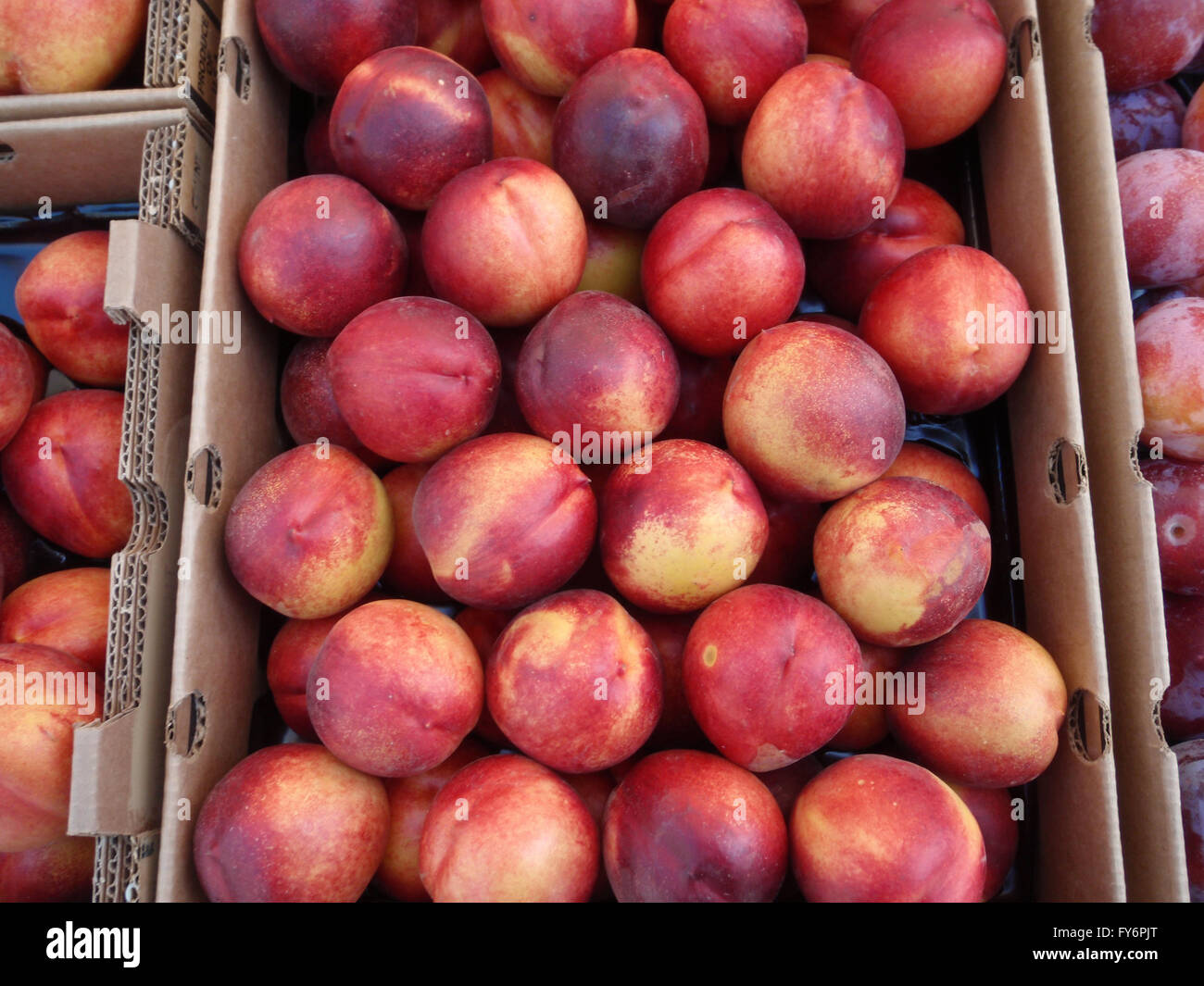 Pile of Red and yellow Nectar fruit in boxes next to each other Stock ...