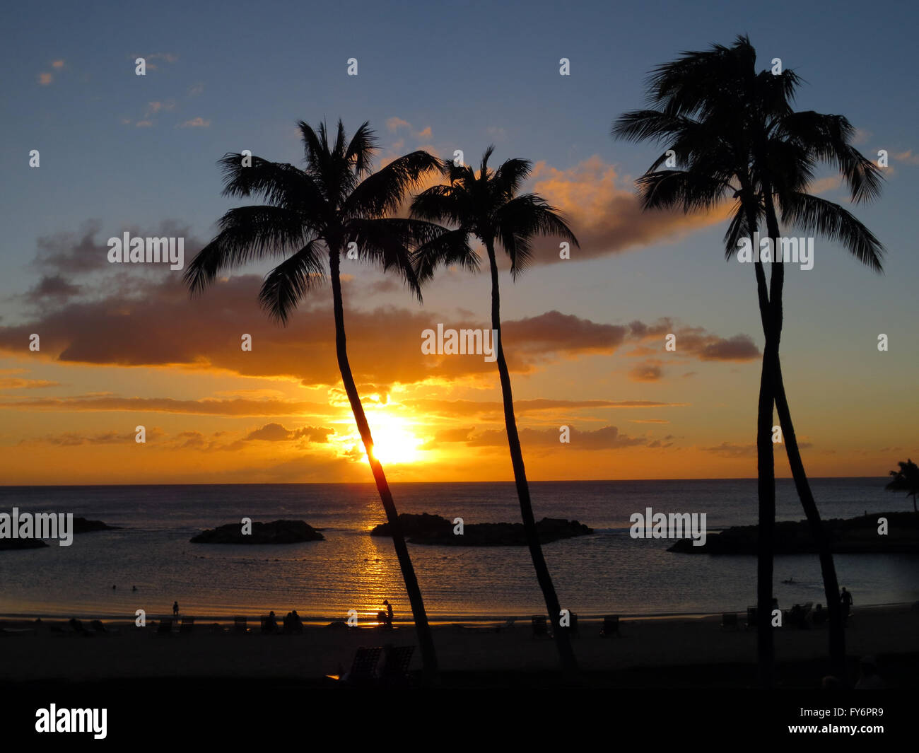 Sunsets on Ko Olina lagoon between coconut trees over the pacific ocean ...