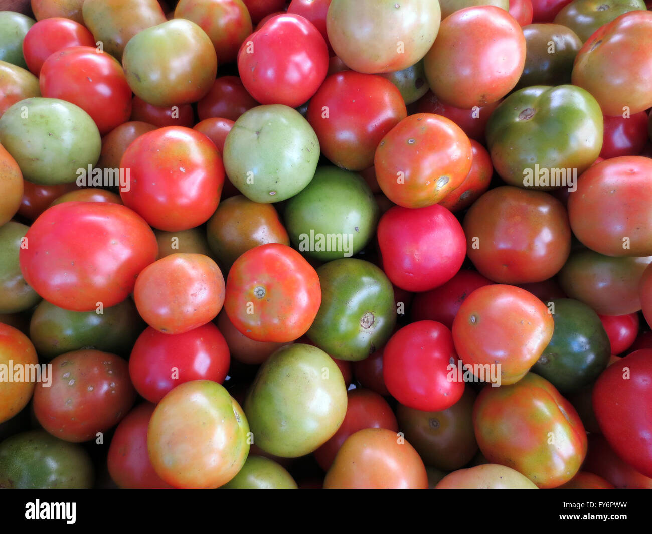 Red orange green tomatoes hi-res stock photography and images - Alamy