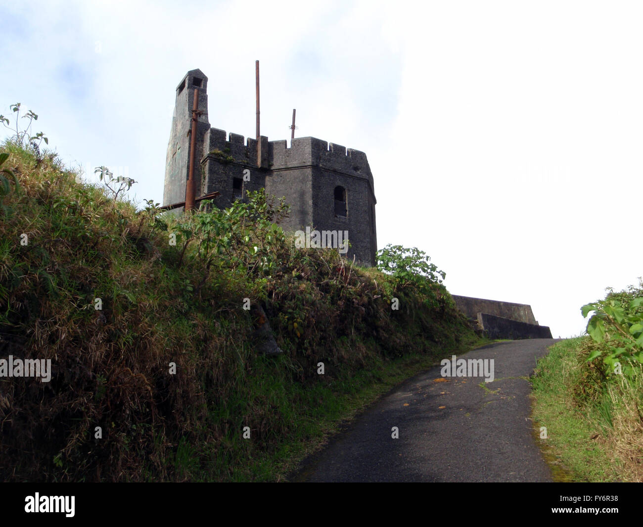 El yunque national forest insects hi-res stock photography and images ...