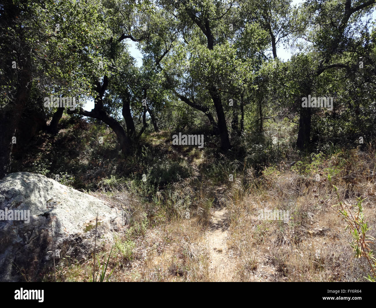 Barbara brown design hi-res stock photography and images - Alamy