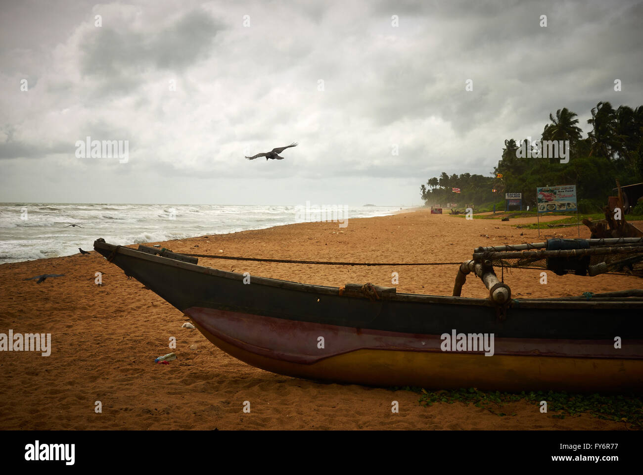 Faces of sri lanka hi-res stock photography and images - Alamy