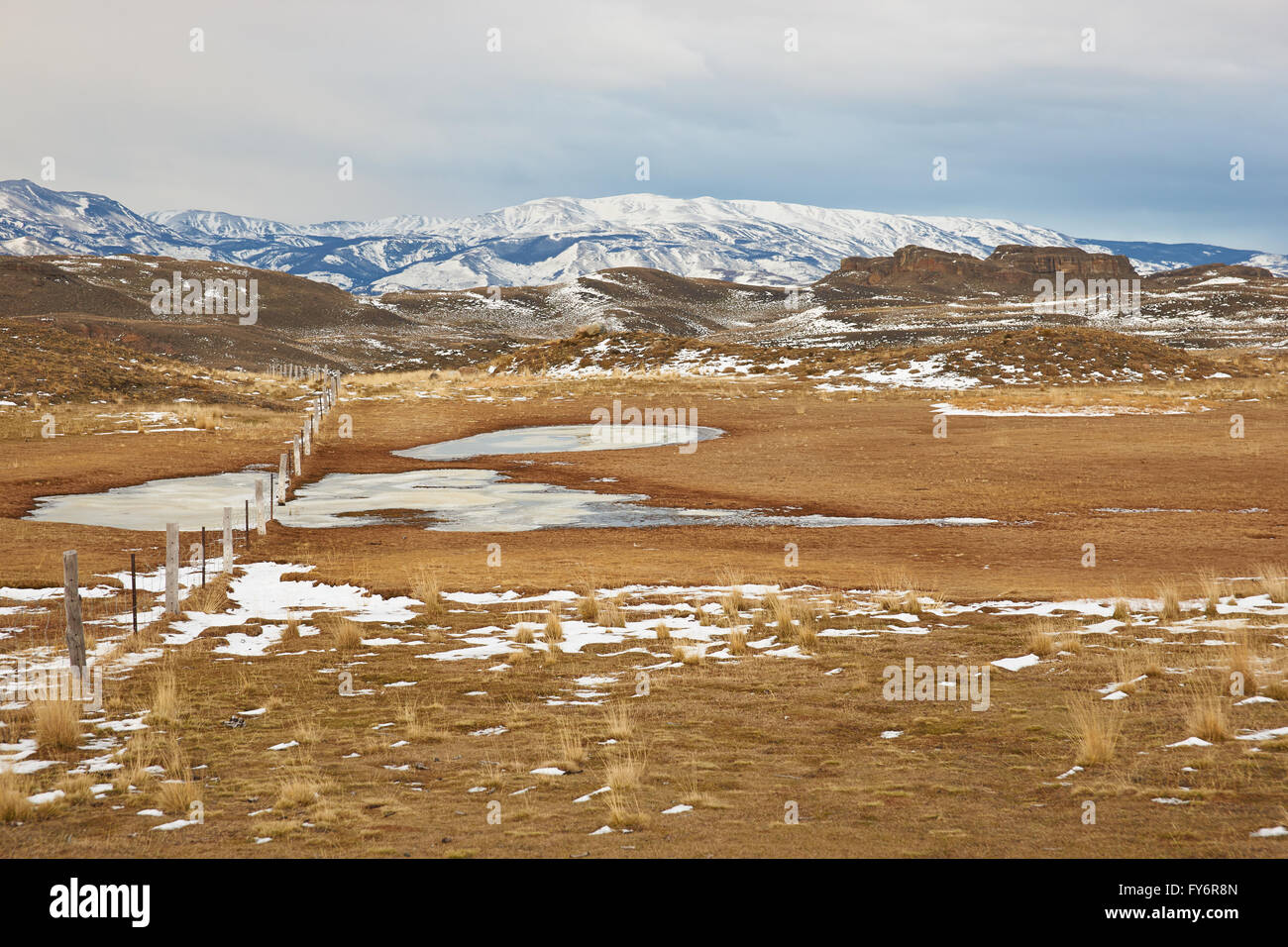 Frozen lake in the grasslands of Torres del Paine National Park in ...