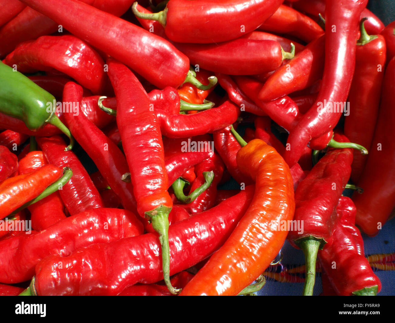 Long Hot Red Peppers for sale at Farmers Market in San Francisco Stock ...