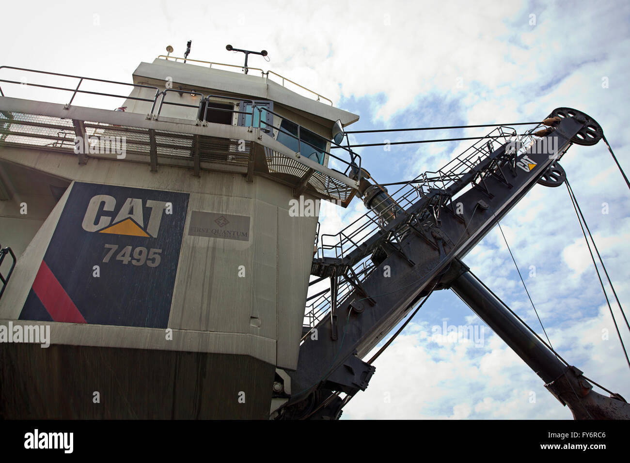 Cat 7495 hi-res stock photography and images - Alamy