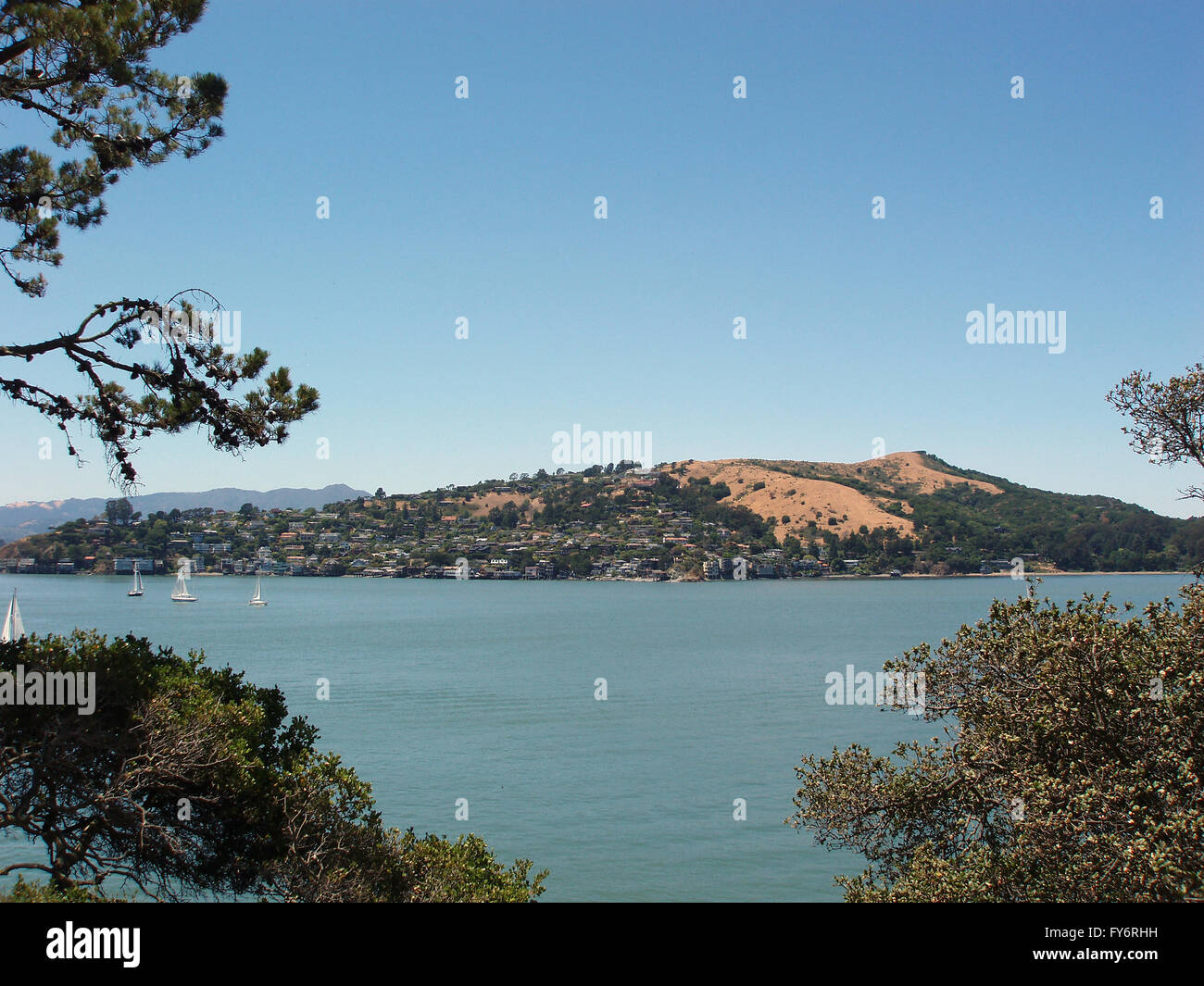 Tiburon and Bay with Sail boats viewed from Angel Island in California ...