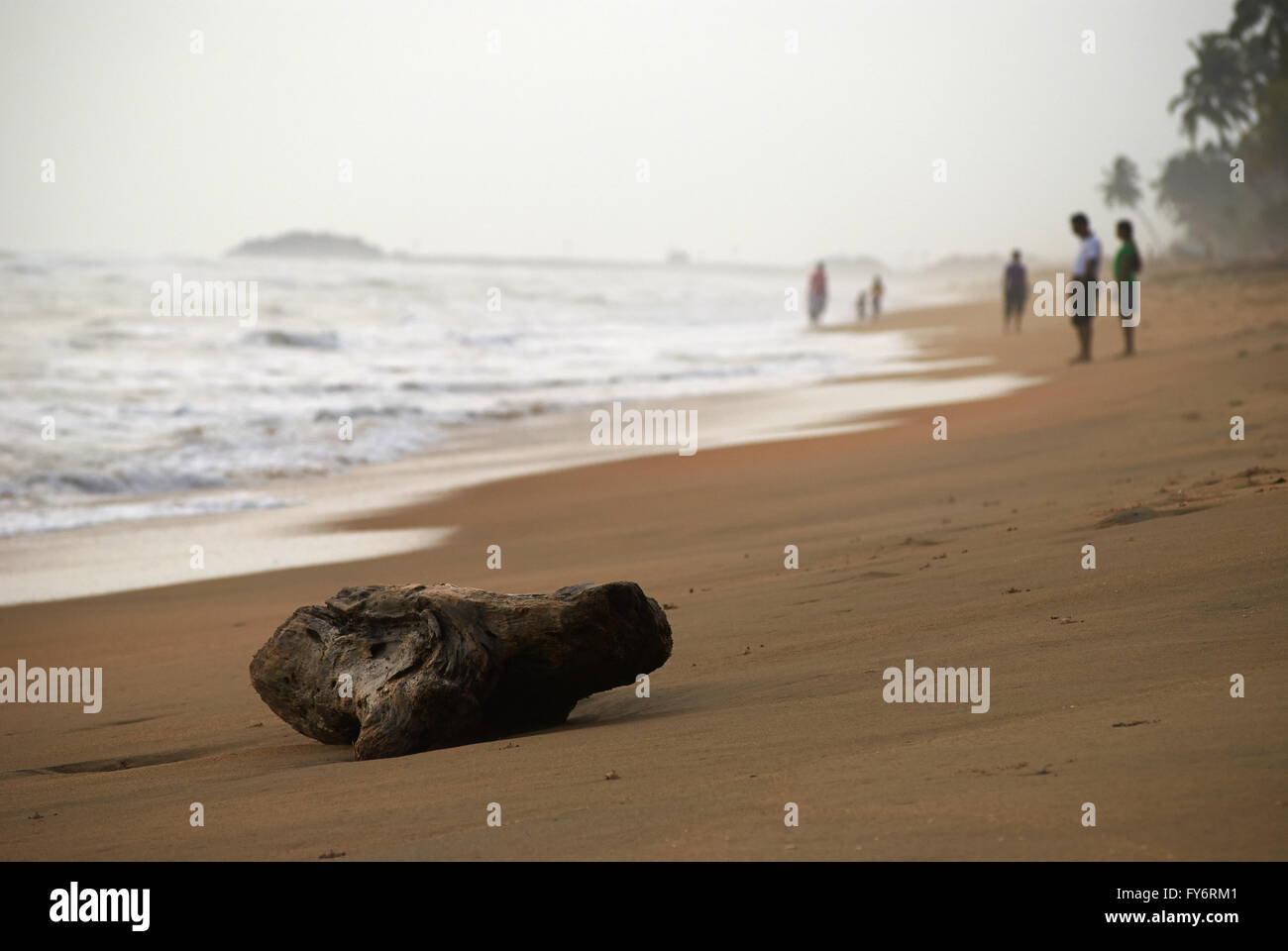 Faces Of Sri Lanka High Resolution Stock Photography and Images - Alamy