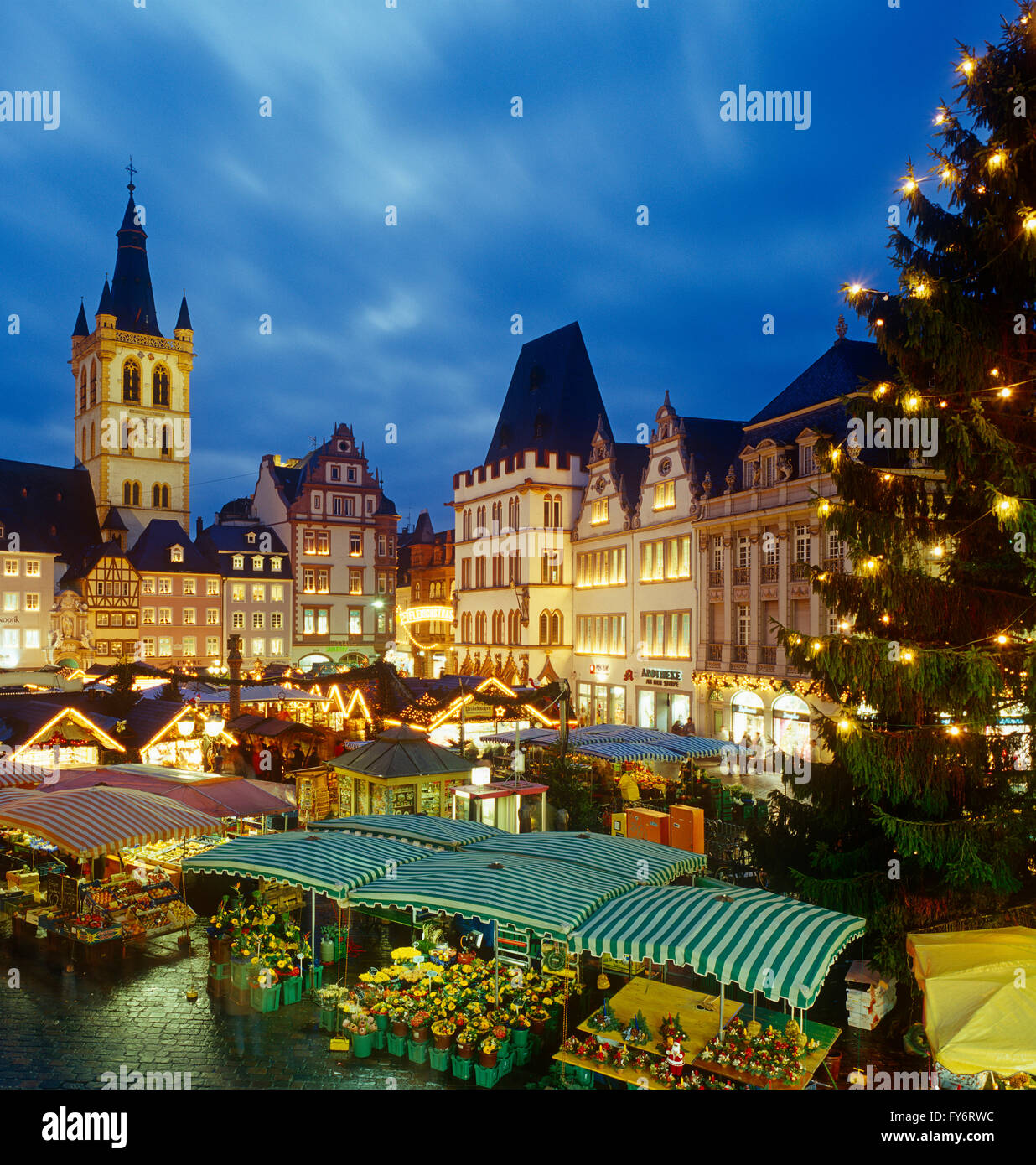 Tier hi-res stock photography and images - Alamy