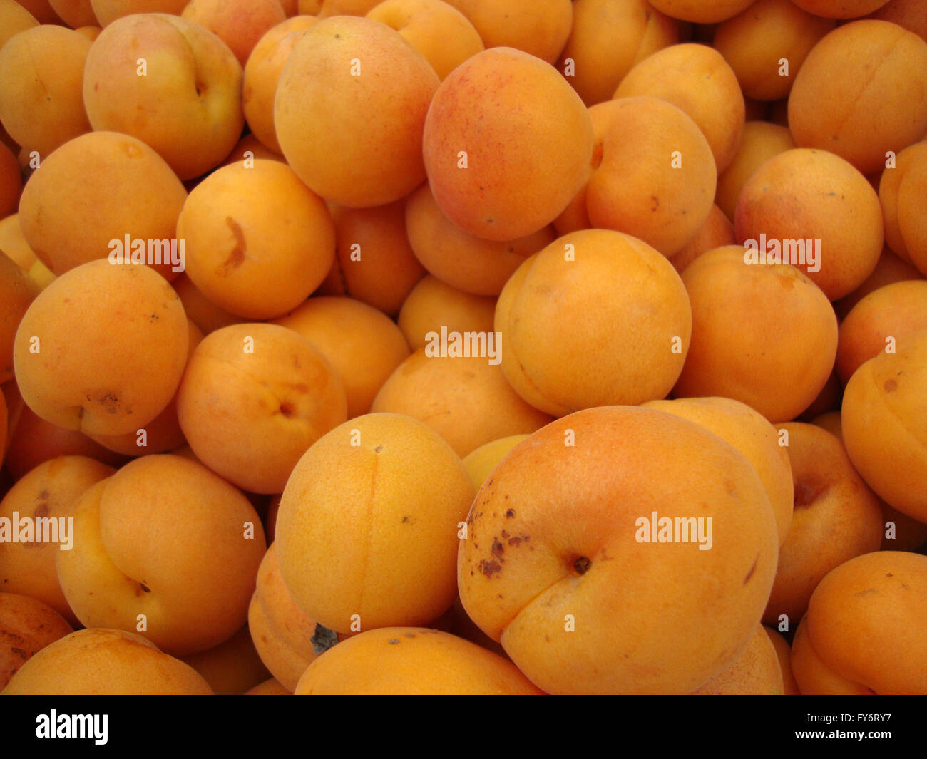 a bunch of Orange peaches at a farmers Market Stock Photo - Alamy