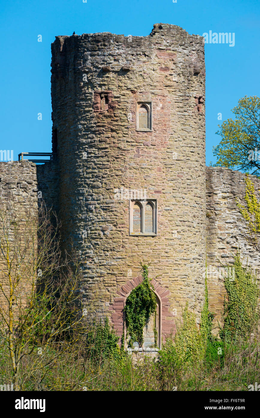 Mortimer's Tower at Ludlow Castle in Shropshire, England, UK Stock ...