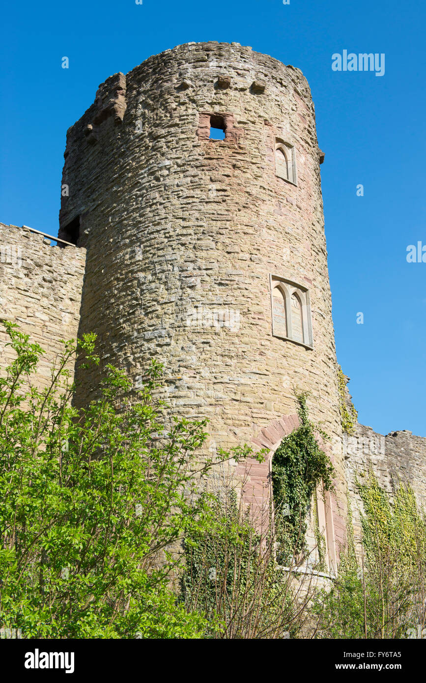 Mortimer's Tower at Ludlow Castle in Shropshire, England, UK Stock ...