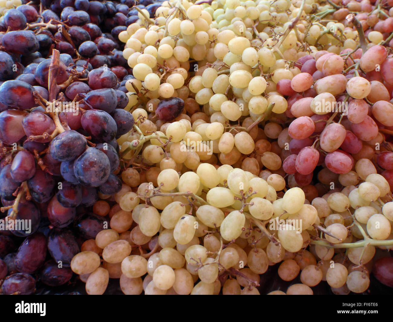 Cluster of 3 colors of grapes on open air for sale at an open market ...