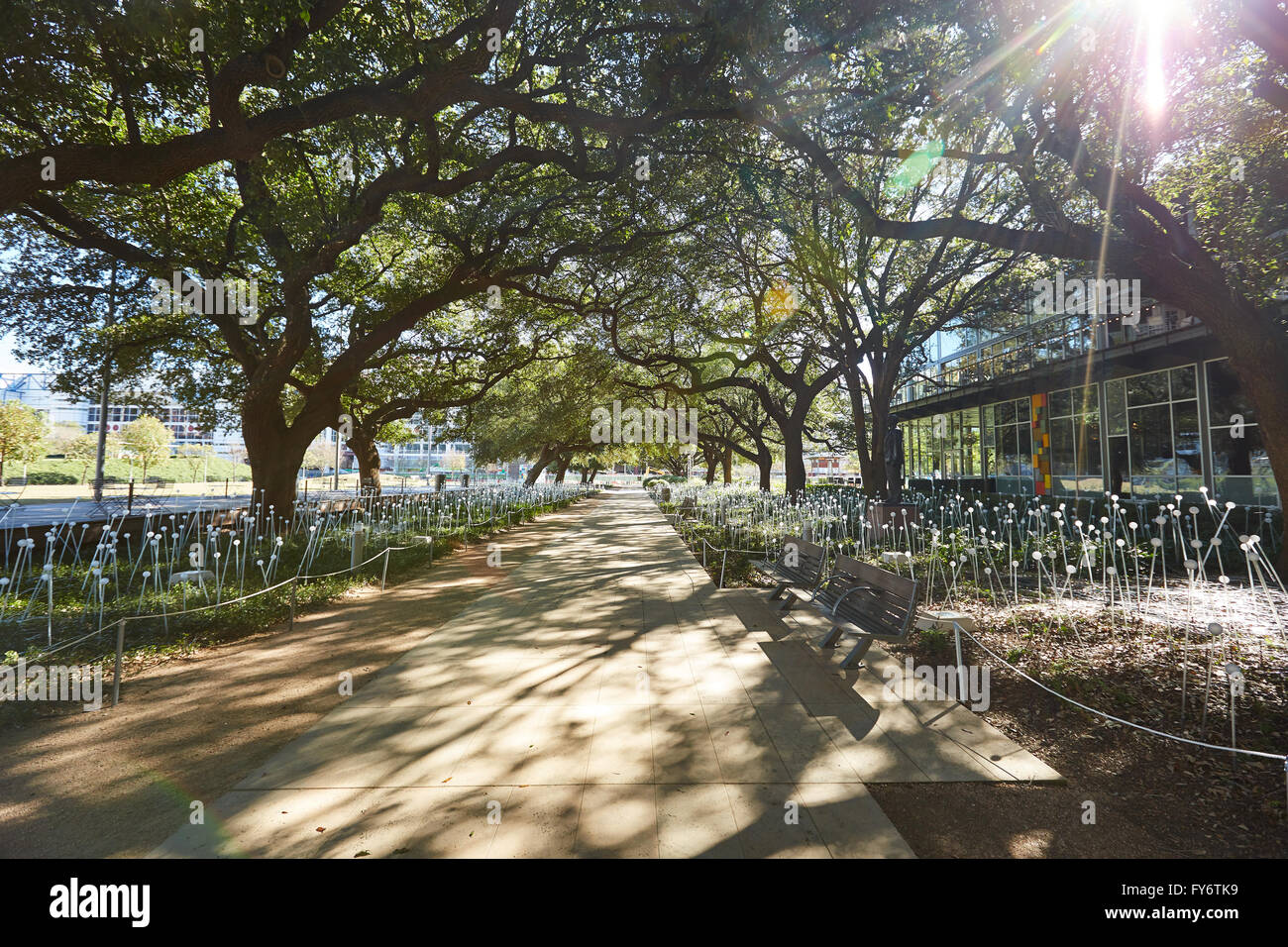 Houston street view hi-res stock photography and images - Alamy