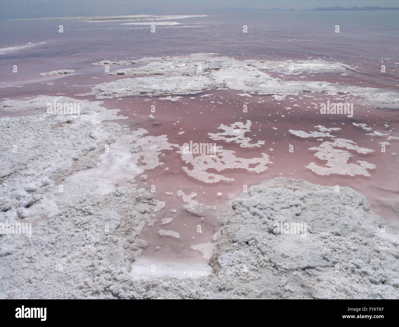 Great salt lake nature reserve hi-res stock photography and images - Alamy