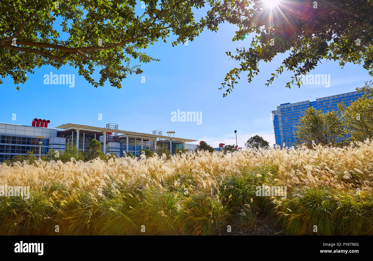 Houston Discovery green park in downtown Texas Stock Photo - Alamy