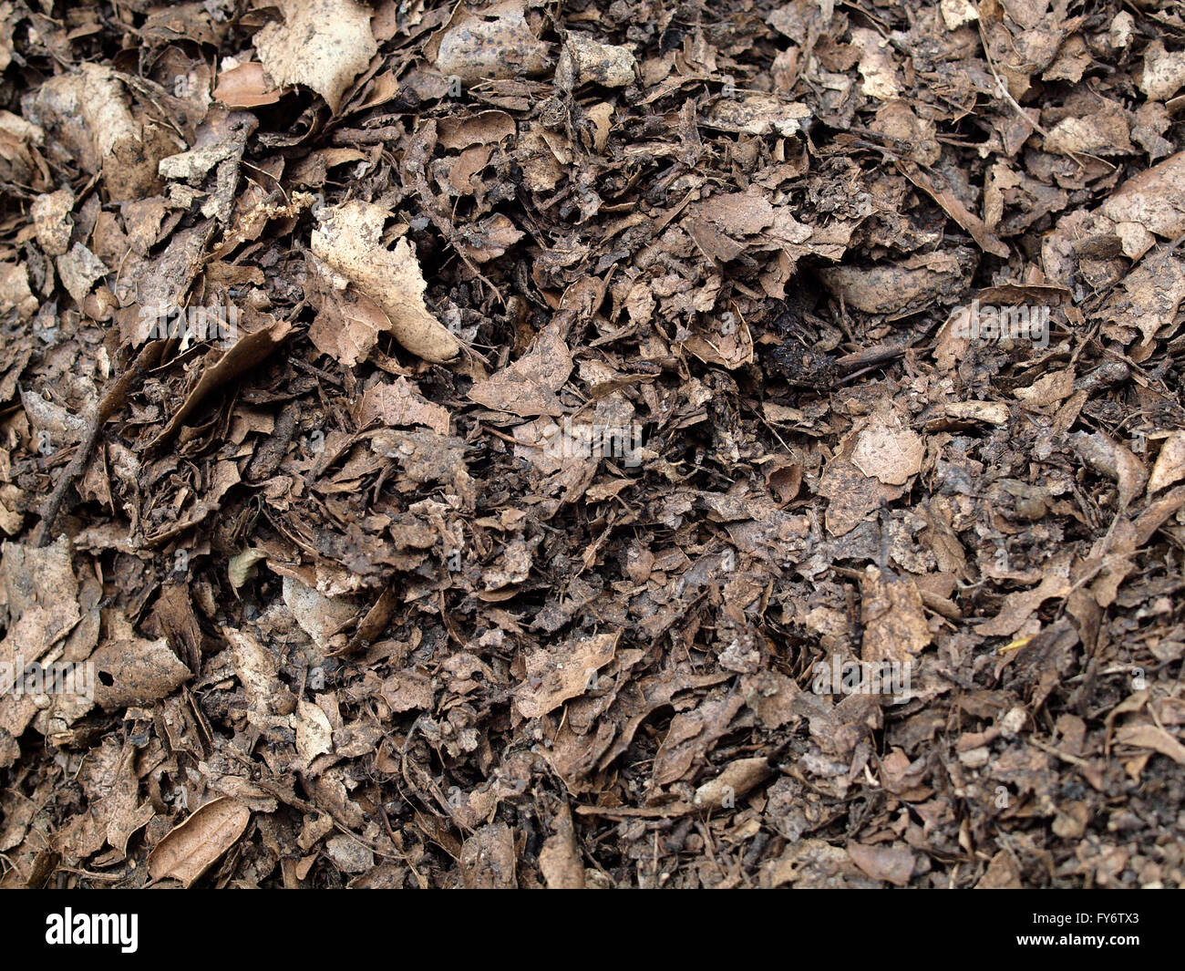 Mulching leaf hi-res stock photography and images - Alamy