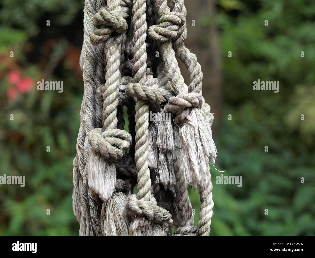 Hanging gray ropes tied in knots in a Garden Stock Photo - Alamy