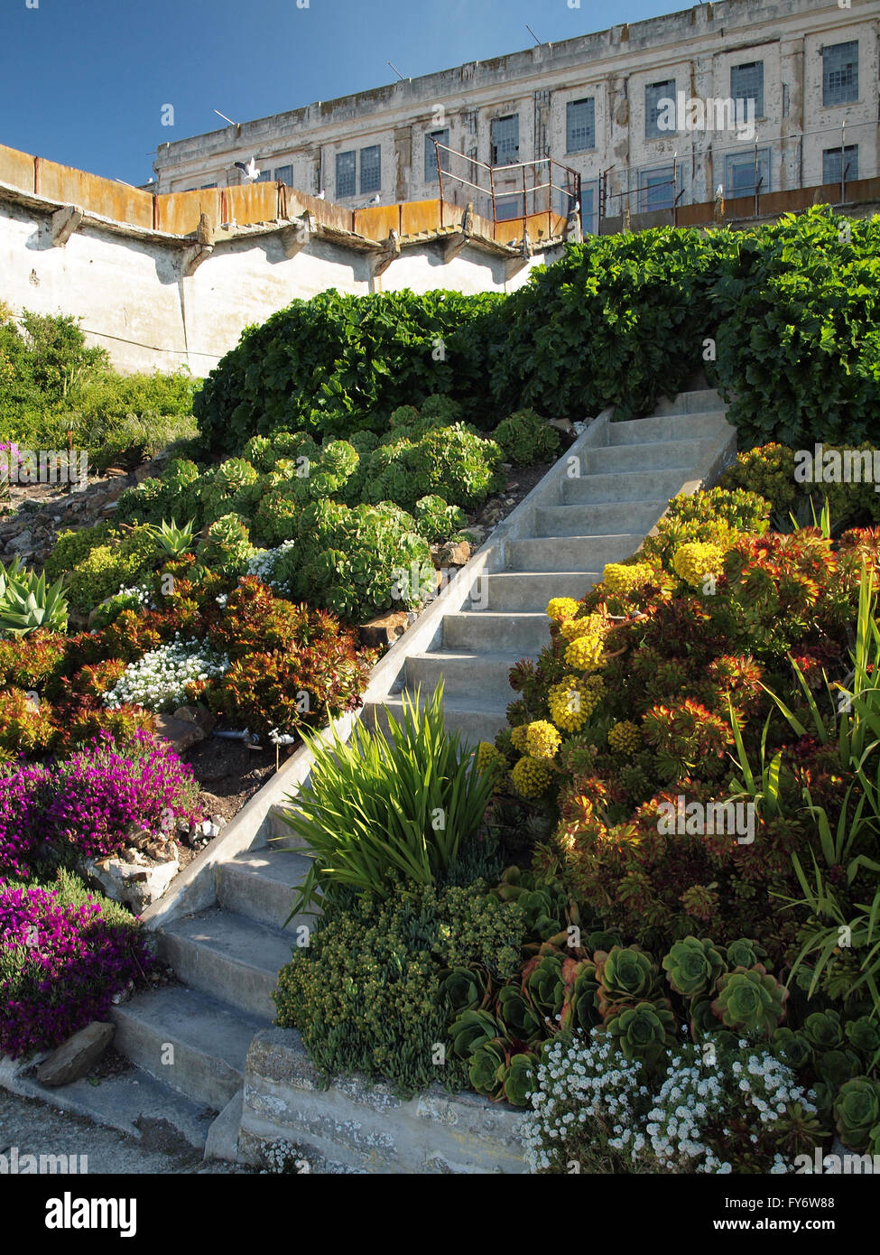 Steps up Alcatraz Garden with America's most Famous Prison in the ...