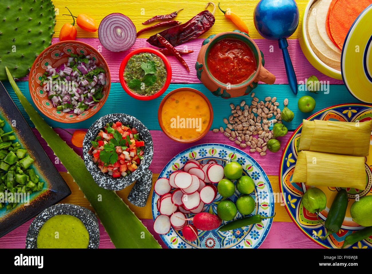 Mexican food mix with sauces nopal and tamale agave guacamole Stock ...