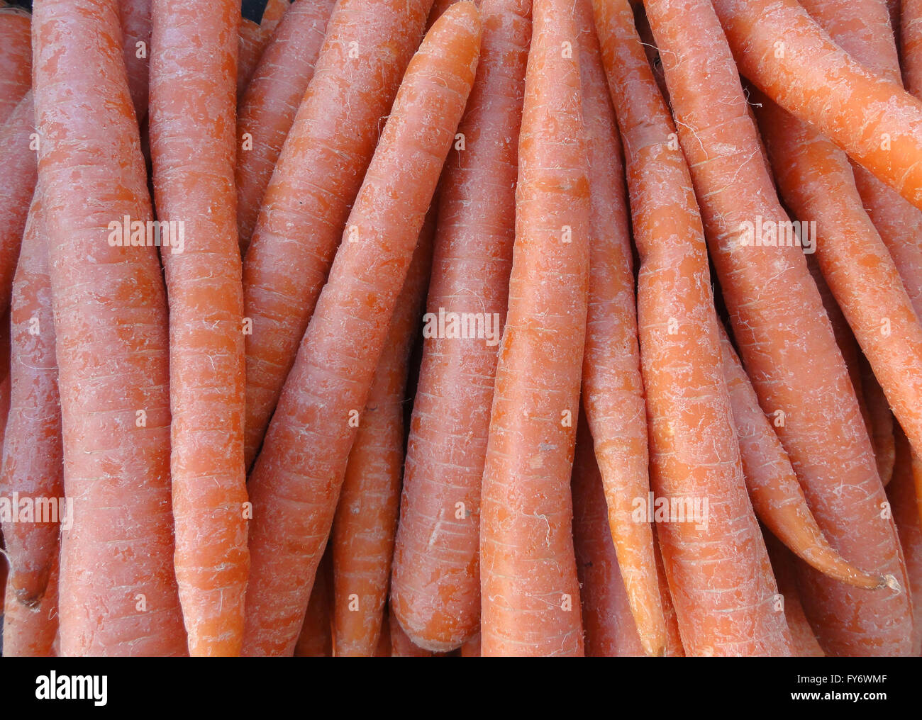 On display up close hi-res stock photography and images - Alamy