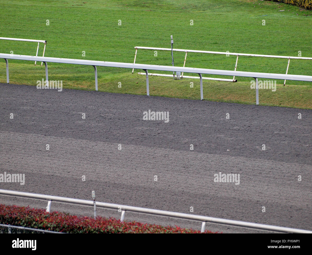 He ran across hi-res stock photography and images - Alamy