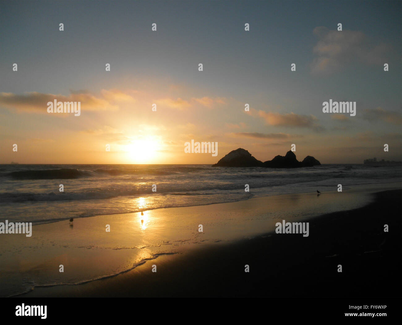 Birds flying over seal rock with large cargo ship in the background at ...