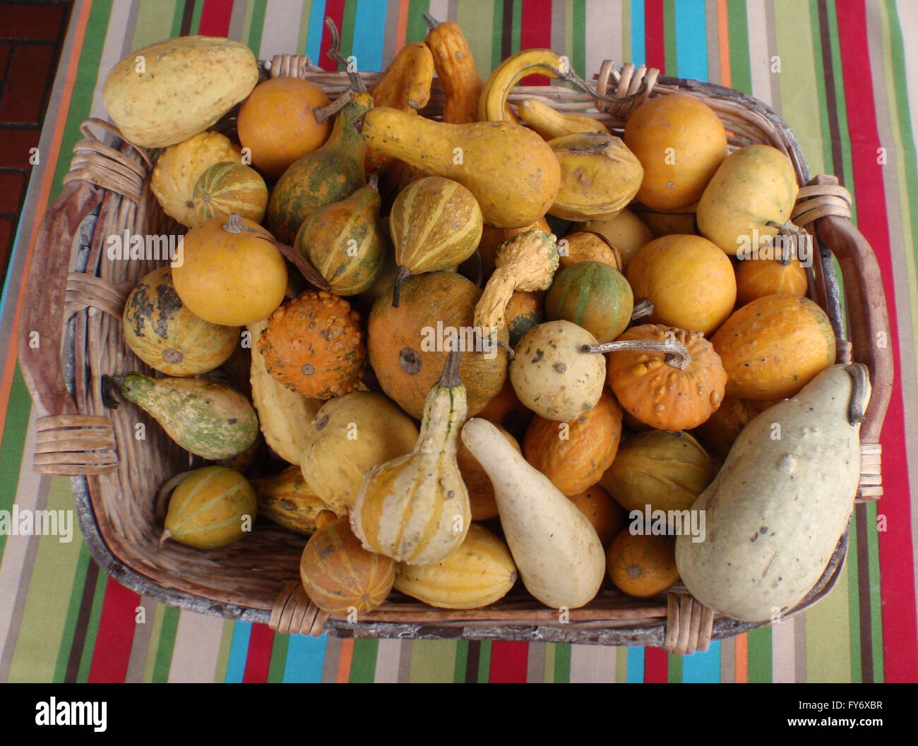 Indian round gourd hi-res stock photography and images - Alamy