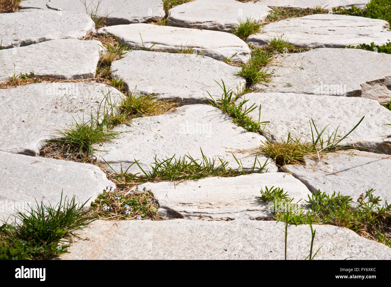 Yard stone path and grass Stock Photo - Alamy