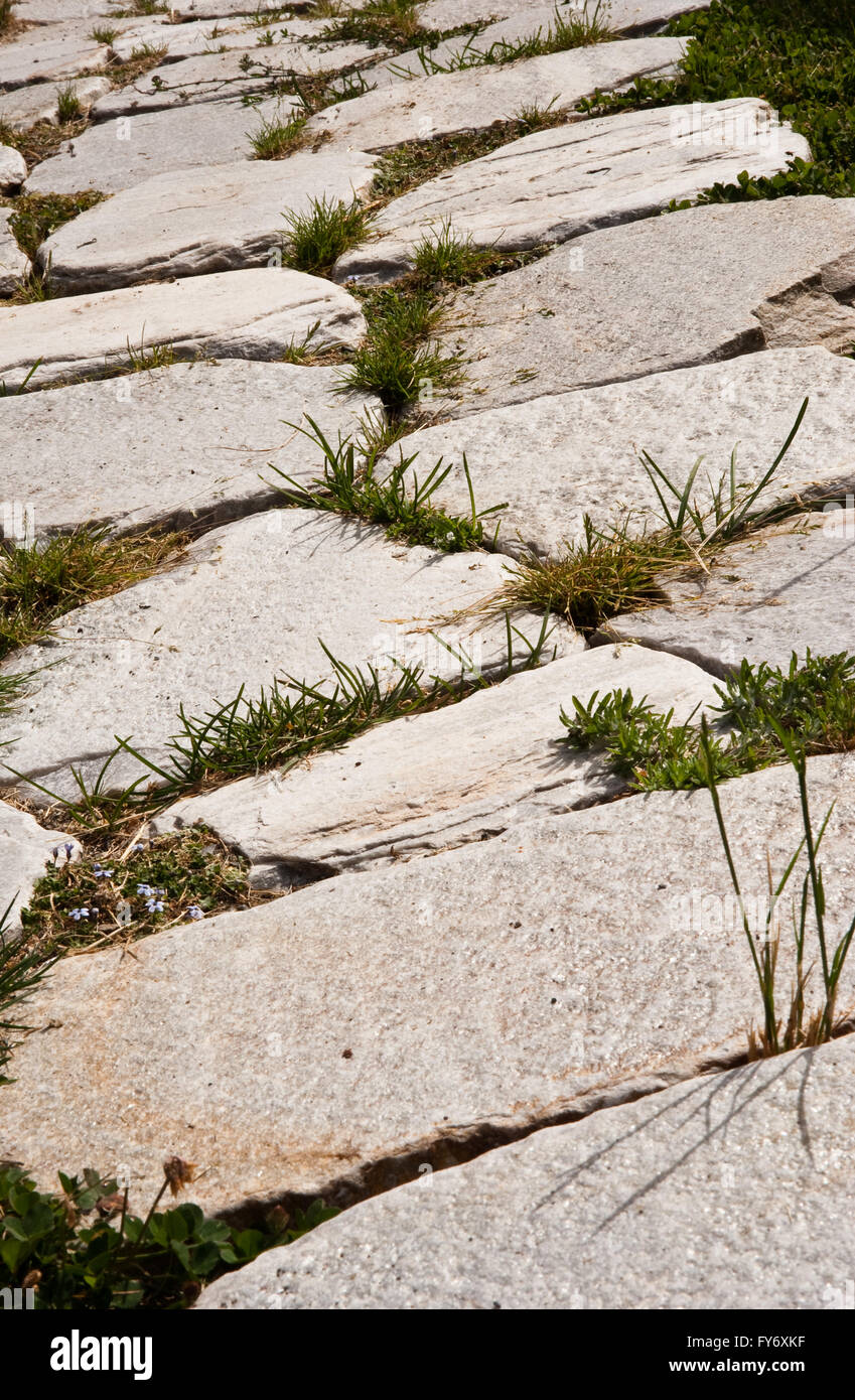 Yard stone path and grass Stock Photo - Alamy