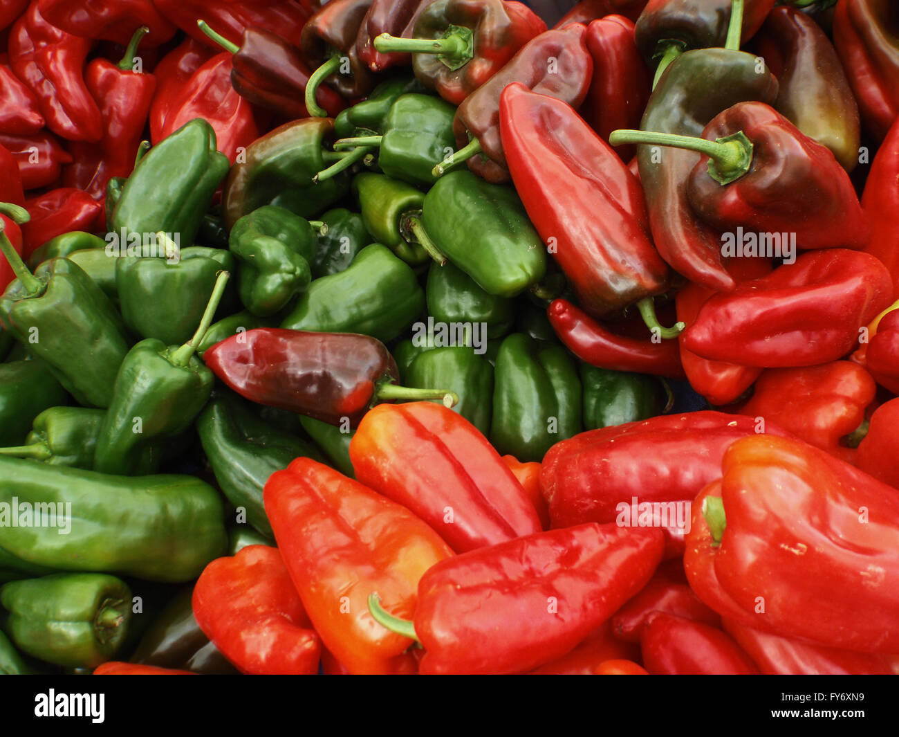 Large Red and Green Organic pointy Peppers on display at a farmers ...