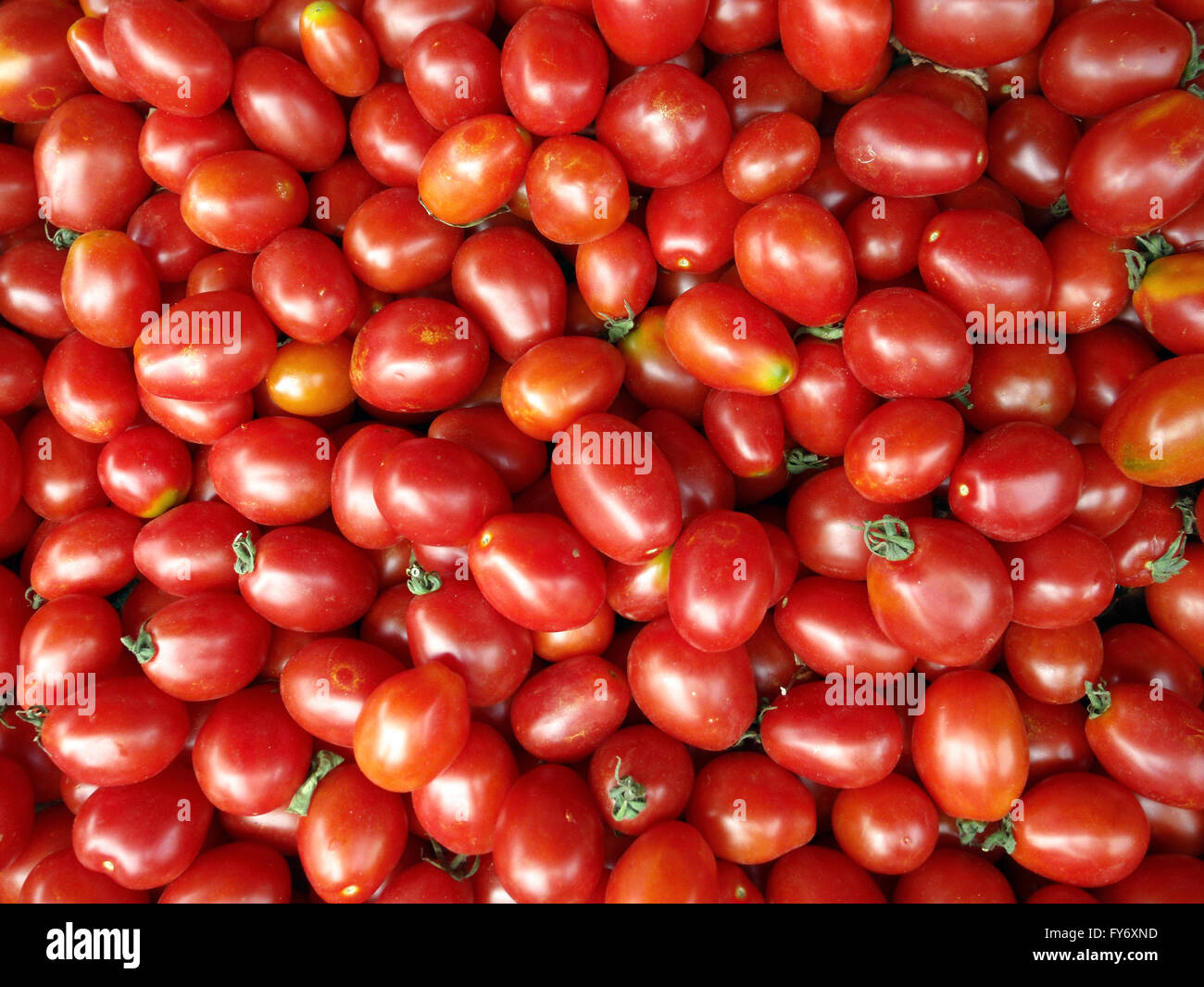 Organic red Grape Tomatoes background on display at a farmers market in ...