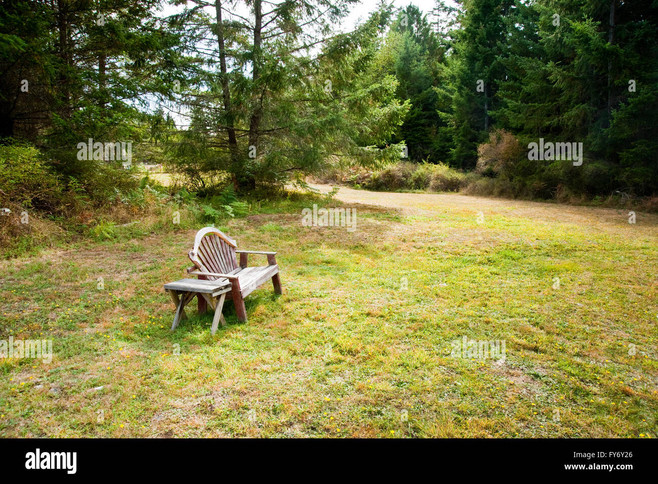 Old bench and table in a field Stock Photo - Alamy