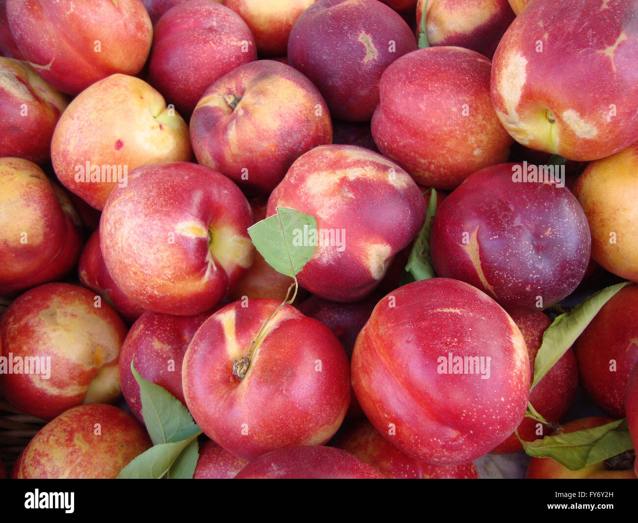 pile of Rose Diamond Nectarines on display at a farmers market in San ...
