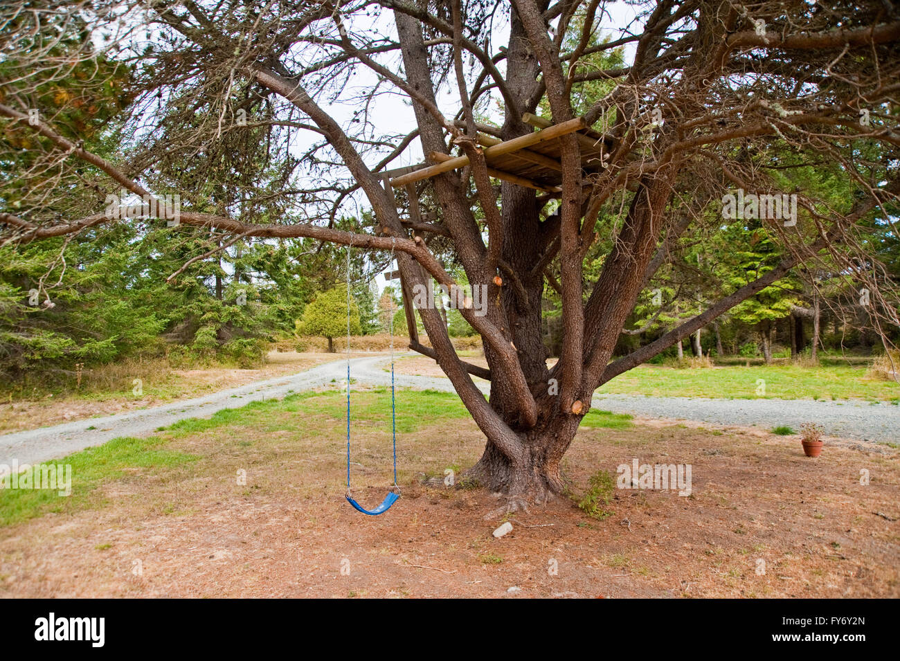 Platform in a tree and swing Stock Photo - Alamy
