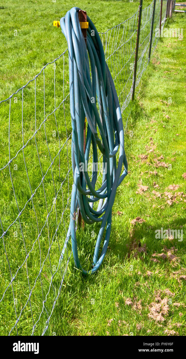 Hanging hose hi-res stock photography and images - Alamy