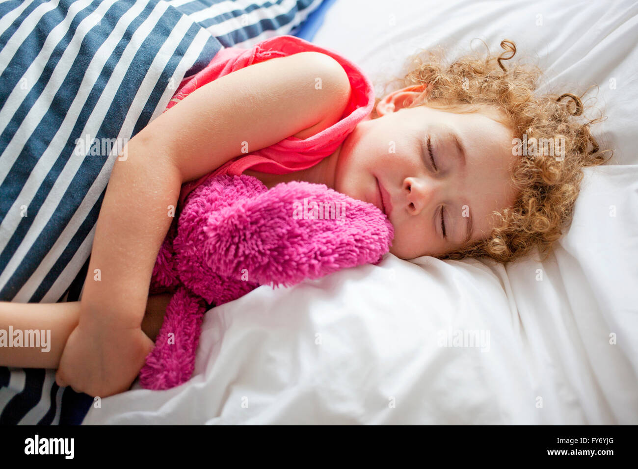 Curly haired rabbit hi-res stock photography and images - Alamy